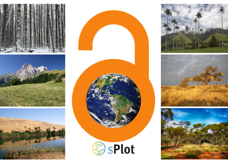 sPlotOpen, une base de données de végétation en libre accès | CNRS Écologie & Environnement